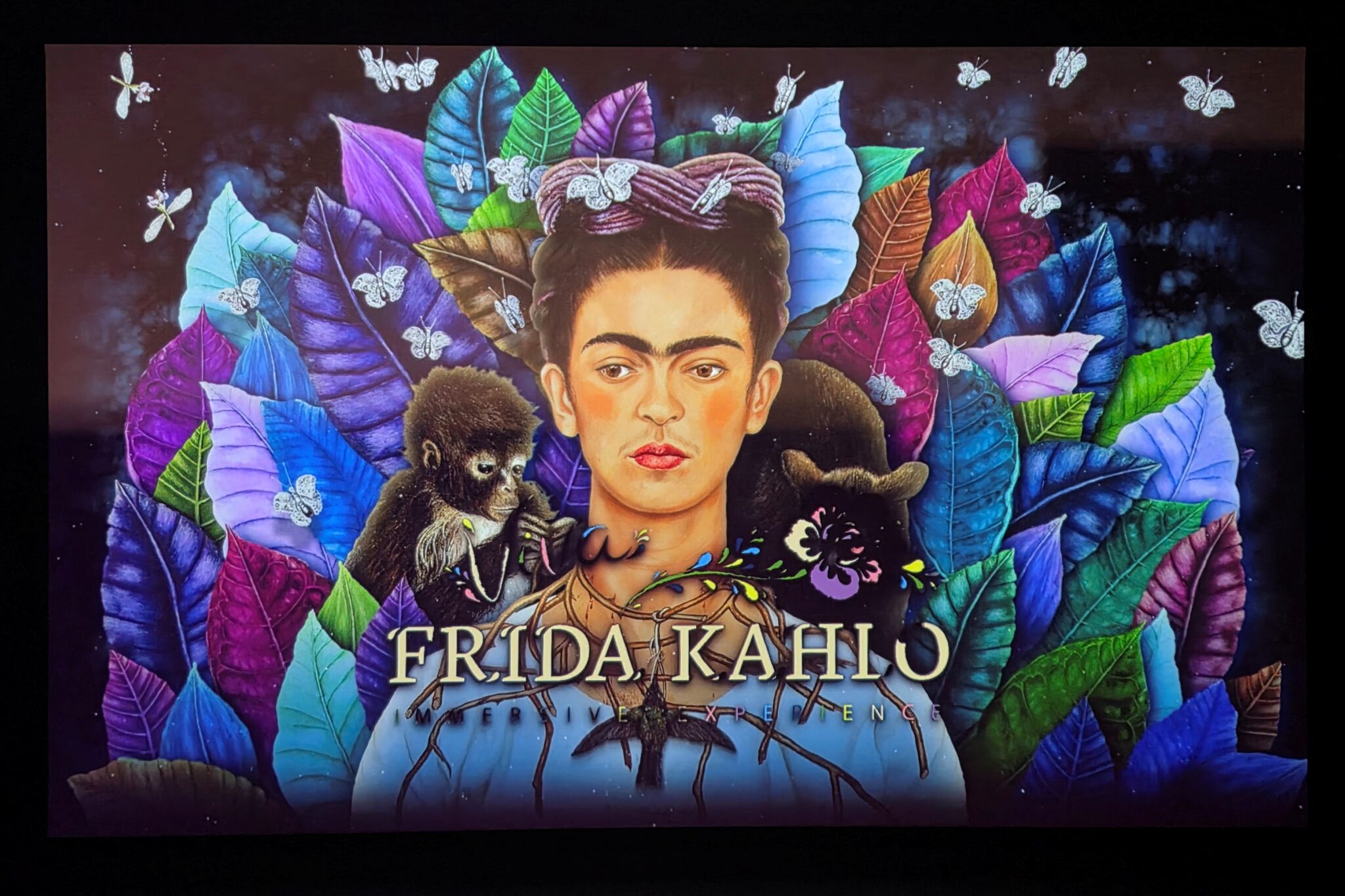 Frida Kahlo – Immersive Experience - Mama im Ländle